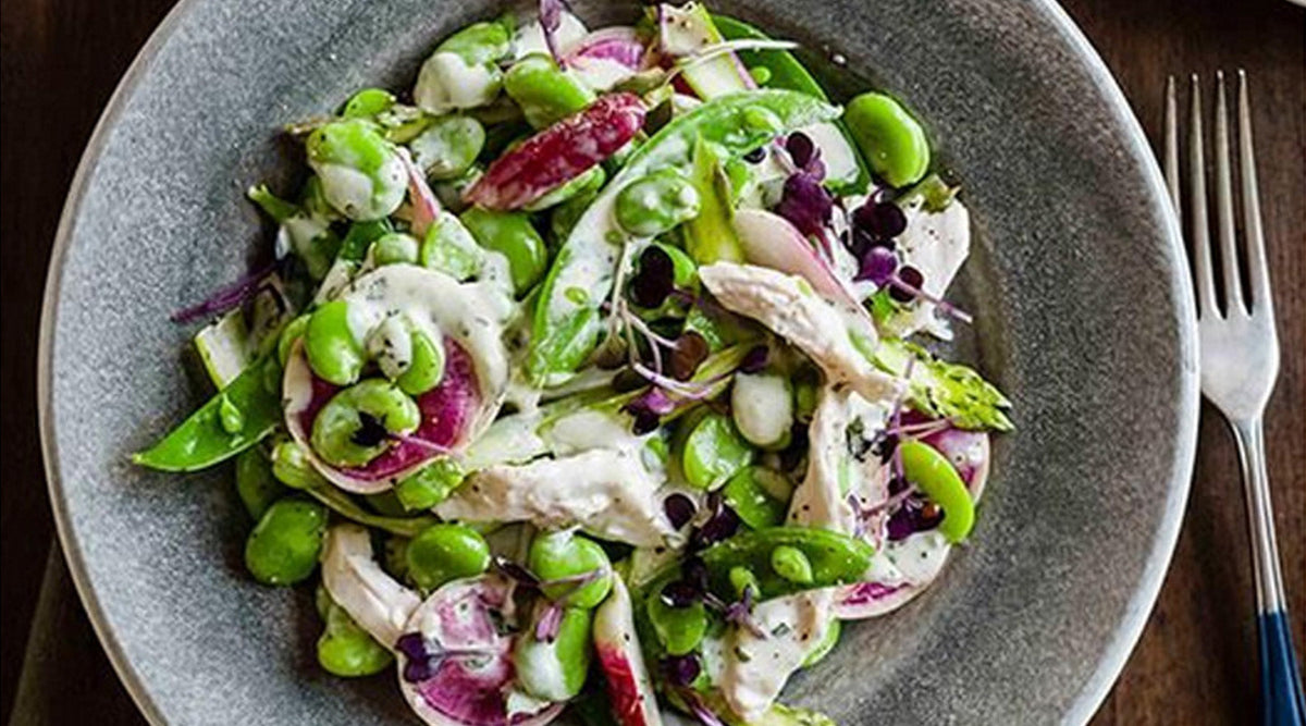 SPRING CHICKEN SALAD WITH DILL AND MINT DRESSING – Newton Seeds